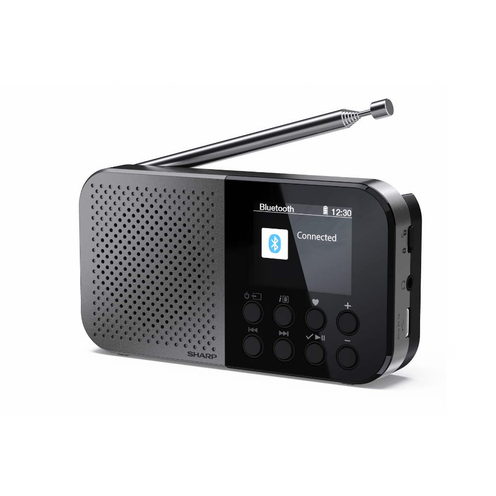 SHARP DR-P520(GY) Osaka Pocket Portable Digital Radio - Storm Grey ...